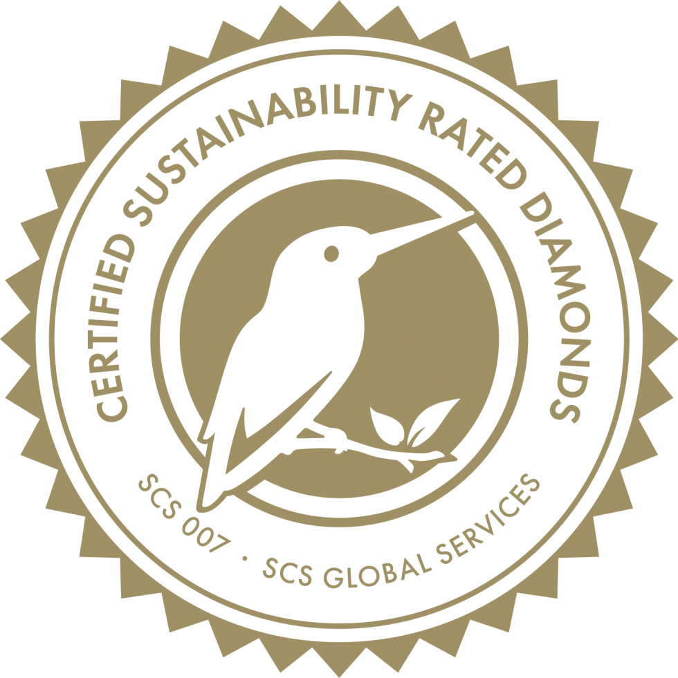 Our Story | Eco Rocks